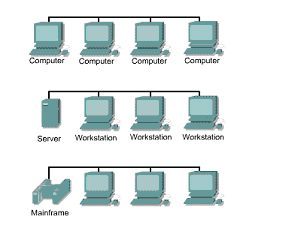 Semester 1 Chapter 5 Study Guide